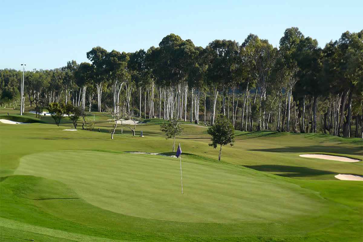 Top 20 Golf Courses in Marbella