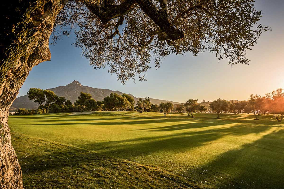 Discover the Beauty of Aloha Golf Club - A Golfer's Paradise | We Rent ...