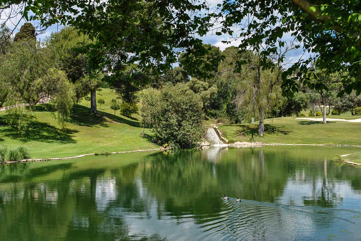 Discover the Beauty of Aloha Golf Club - A Golfer's Paradise | We Rent ...