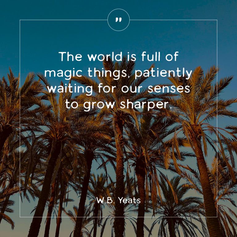 20 Travel Quotes to Inspire Your Next Adventure | We Rent Marbella